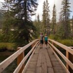 Banff Thermal Water and Hidden Waterfalls Walking Tour - The Practical Side: Pricing, Group Size, and Value