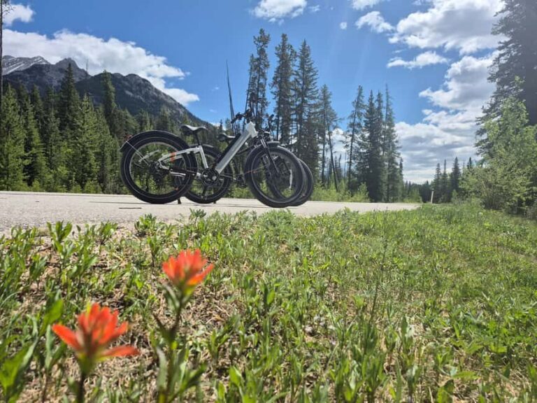 Banff Top Sights E-Fat Bike Tour All Skill Levels - The Sum Up