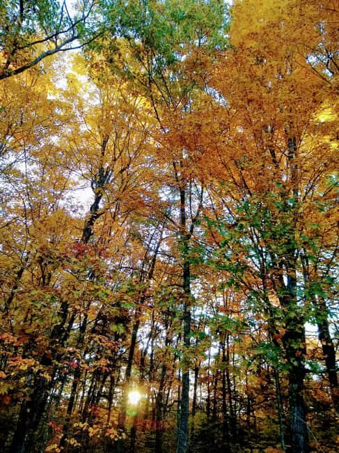 Bar Harbor: Acadia National Park Autumn Leaf Private Tour - Who This Tour Is Best For