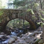 Bar Harbor: Acadia National Park Private Tour with Lunch - An In-Depth Look at the Acadia Experience