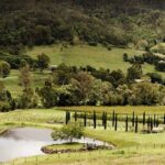 Barefoot Luxury Mount Tamborine Winery Tour from Brisbane - Final Thoughts: Is It Worth It?