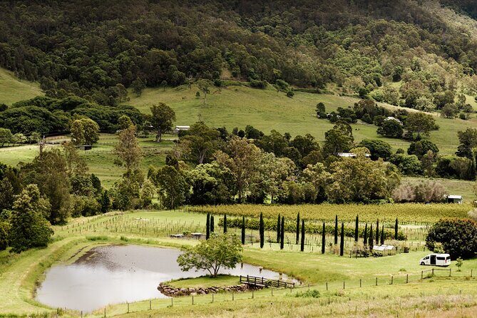 Barefoot Luxury Mount Tamborine Winery Tour from Brisbane - Final Thoughts: Is It Worth It?