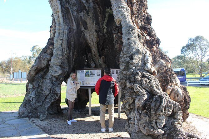 Barossa and Hahndorf Day Trip from Adelaide Including Wine Tasting and Lunch - Frequently Asked Questions