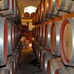 Barossa and Hahndorf Wine Tasting and Sightseeing Tour - Who Should Book This Tour?