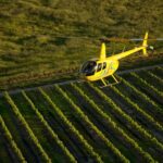 Barossa Valley: 20-Minute Scenic Helicopter Flight - What to Expect During Your Flight
