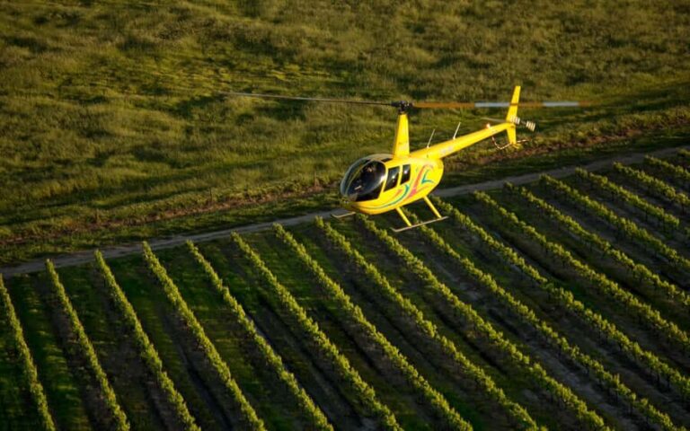 Barossa Valley: 20-Minute Scenic Helicopter Flight - What to Expect During Your Flight