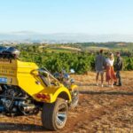 Barossa Valley: 3.5hr Trike Tour For 2 - The Itinerary: What to Expect