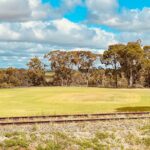 Barossa Valley and Hahndorf Tour- Cruise Ship Pickups - Potential Drawbacks and Considerations
