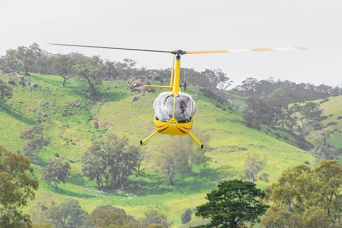 Barossa Valley Deluxe: 30-Minute Helicopter Flight - Who Will Love This Experience?