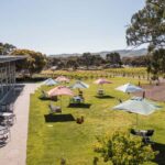 Barossa Valley: Jacob's Creek Perfect Picnic - Why This Tour Offers Great Value