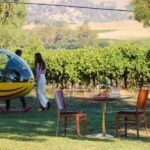 Barossa Valley: Private Helicopter Flight & Winery - The Itinerary: A Closer Look