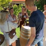 Barossa Valley Shared Wine Tour , Visit Henschke and Yalumba - The Experience in Practice: Authentic Insights