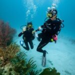 Basic Diver - Bautismo - Who Should Consider This Tour?