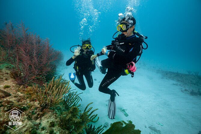 Basic Diver - Bautismo - Who Should Consider This Tour?