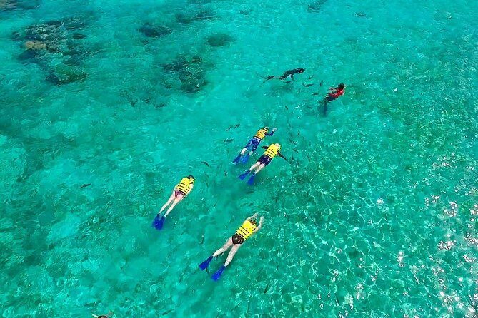 Basic Snorkel Experience In Cancun - Who Is This Tour Best For?