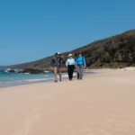 Batemans Bay: 3-Day Murramarang South Coast Walk - Who Is This Tour Best For?