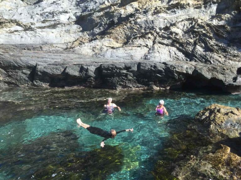 Batemans Bay: Half-Day Sea Kayak Tour - Who Should Consider This Tour?