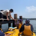 Batemans Bay Oyster Tasting Kayak Tour - Final Thoughts