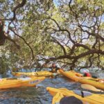 Batemans Bay: Oyster Tasting Kayak Tour - What to Expect on the Tour