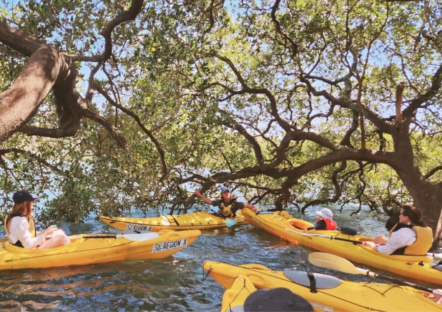 Batemans Bay: Oyster Tasting Kayak Tour - What to Expect on the Tour