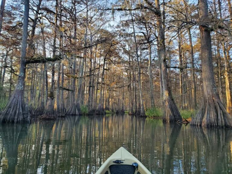 Baton Rouge: Kayak Tour Through the Historic Atchafalaya - Step 1: Check-In and Preparation
