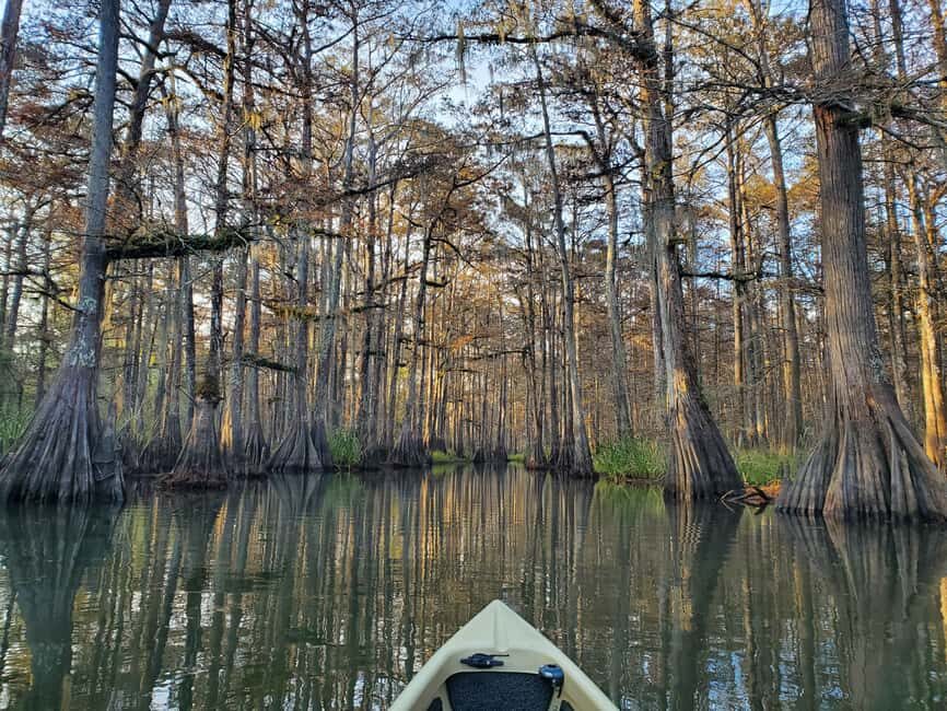 Baton Rouge: Kayak Tour Through the Historic Atchafalaya - Step 1: Check-In and Preparation