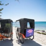 Battles, Shipwrecks & Bays Guided Rickshaw Tour - Who Should Consider This Tour?