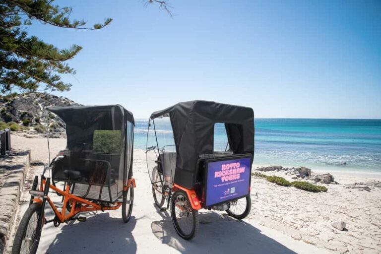 Battles, Shipwrecks & Bays Guided Rickshaw Tour - Who Should Consider This Tour?
