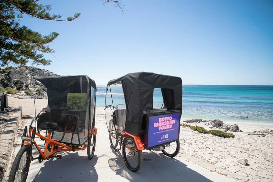 Battles, Shipwrecks & Bays Guided Rickshaw Tour - Who Should Consider This Tour?