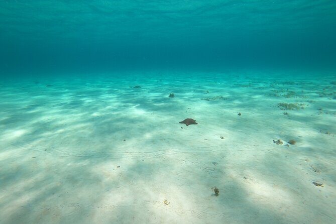 Bavarian Fiesta Snorkel Activity in Glass Bottom Boat at San Miguel de Cozumel - Exploring the Itinerary in Detail