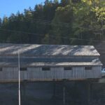 Bay of Fundy Tour by Bus - Transportation and Group Size