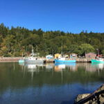 Bay of Fundy Tour by Luxury Car - Historic Sites: Fort Howe and Carleton Martello Tower