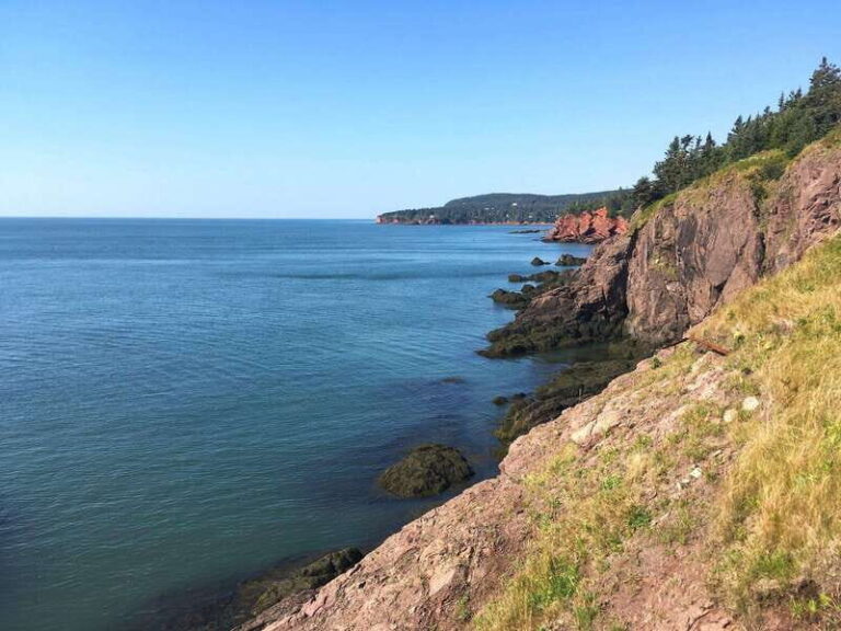 Bay of Fundy Tour by Mini Van - Transportation & Comfort