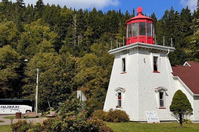 Bay of Fundy Tour Saint John NB - Why This Tour Is Worth Considering