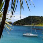 Bay of Islands: Awesome Day Sailing Tour with Island Stop - The Practicalities and Group Experience
