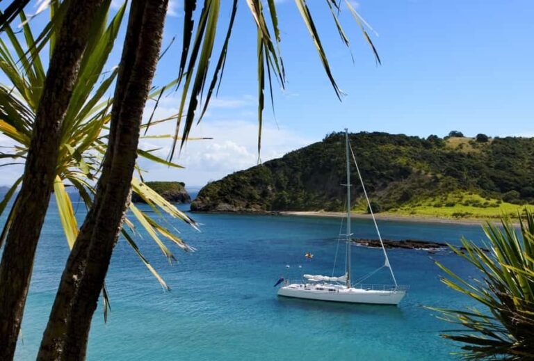 Bay of Islands: Awesome Day Sailing Tour with Island Stop - The Practicalities and Group Experience