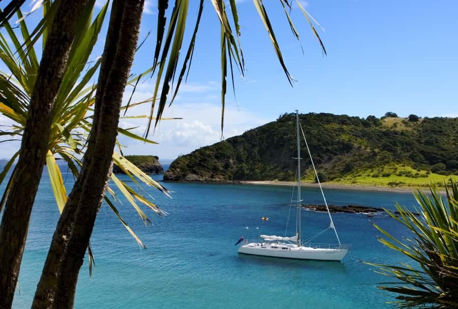 Bay of Islands: Awesome Day Sailing Tour with Island Stop - The Practicalities and Group Experience