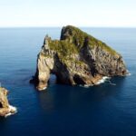 Bay of Islands Cruise & Island Tour - Snorkel, Hike,Swim,Wildlife - The Sum Up