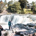 Bay of Islands Glow Worm Caves & Scenic Shore Excursion - FAQ