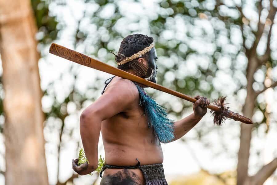 Bay of Islands HOLE IN THE ROCK & WAITANGI TREATY GROUNDS - Overview of the Tour Experience