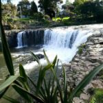 Bay of Islands - Mini Tour (75-90 mins) - What to Expect on This Tour