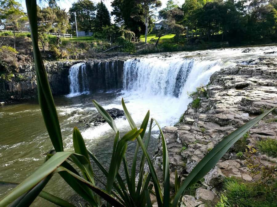 Bay of Islands - Mini Tour (75-90 mins) - What to Expect on This Tour