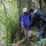 Bay of Islands Shore Excursion: Puketi Rainforest Guided Walk - Final Thoughts