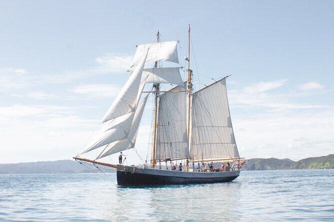 Bay of Islands Tall Ship Sailing on R. Tucker Thompson Including BBQ Lunch - Analyzing the Value: Is It Worth It?