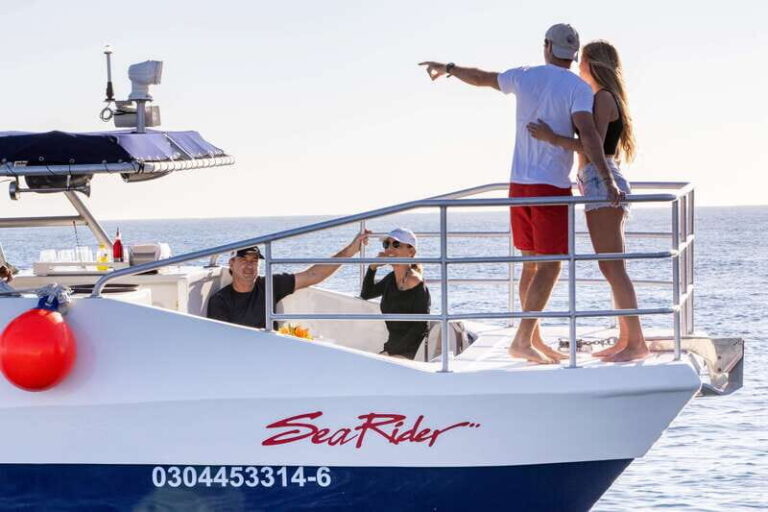 Bay trip and the Arch of Cabo San Lucas - An In-Depth Look at the Tour Experience