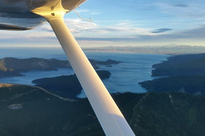 Bays and Bush Flight Scenic Tour - Detailed Breakdown of the Itinerary