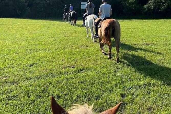 B&C horseback riding in nature and Keeneland racetrack. - Exploring the Experience in Detail