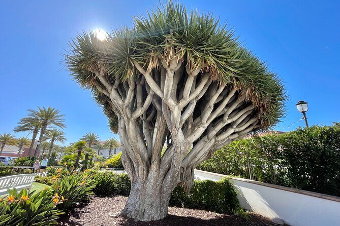 Beach and shopping Tour in San Diego (Private) - The Coronado Visit: The Hotel Del Coronado