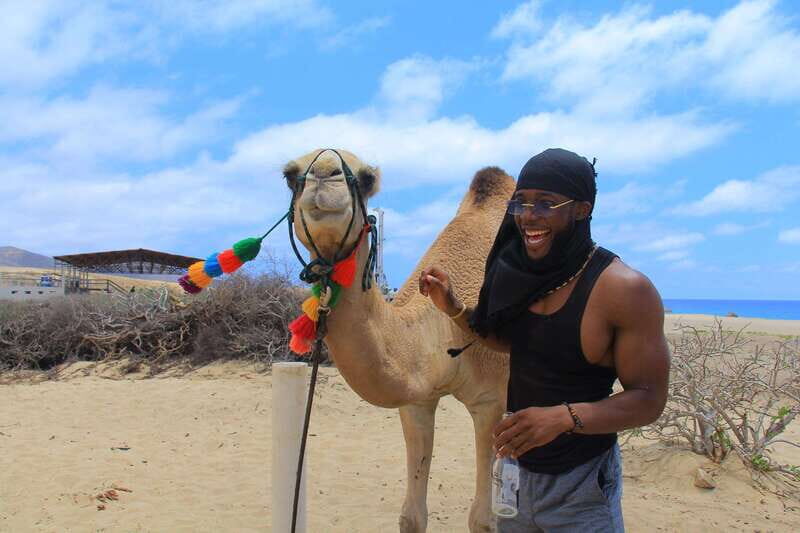 Beach Camel Ride & Encounter in Cabo by Cactus tours park - Who Will Love This Tour?