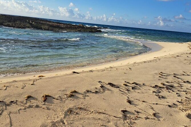 Beach day in Cozumel with roundtrip transportation - Final Thoughts